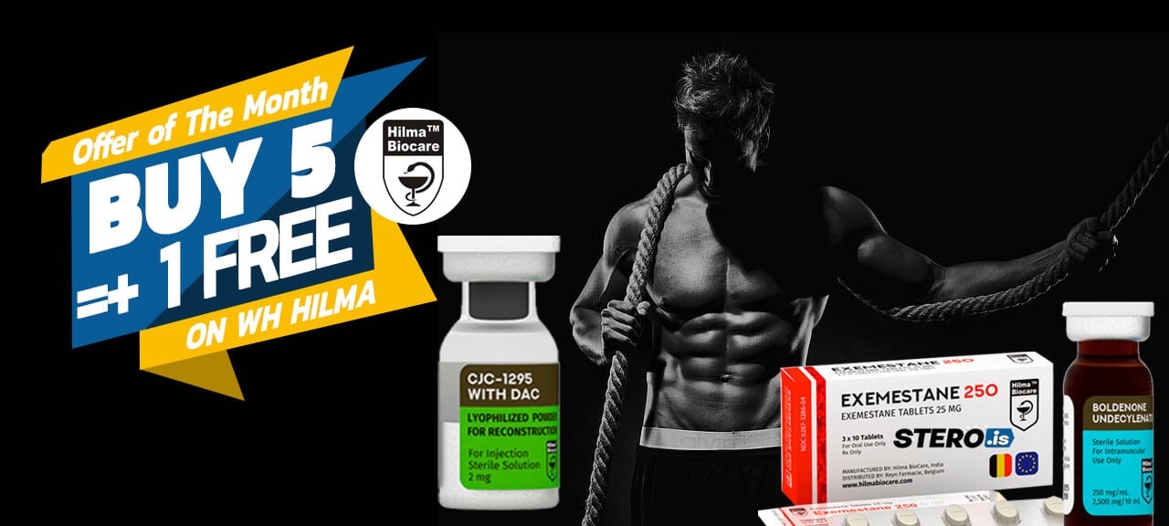 Buy Warehouse Hilma (25$) - Warehouse Hilma (25$) For Sale on STERO.is